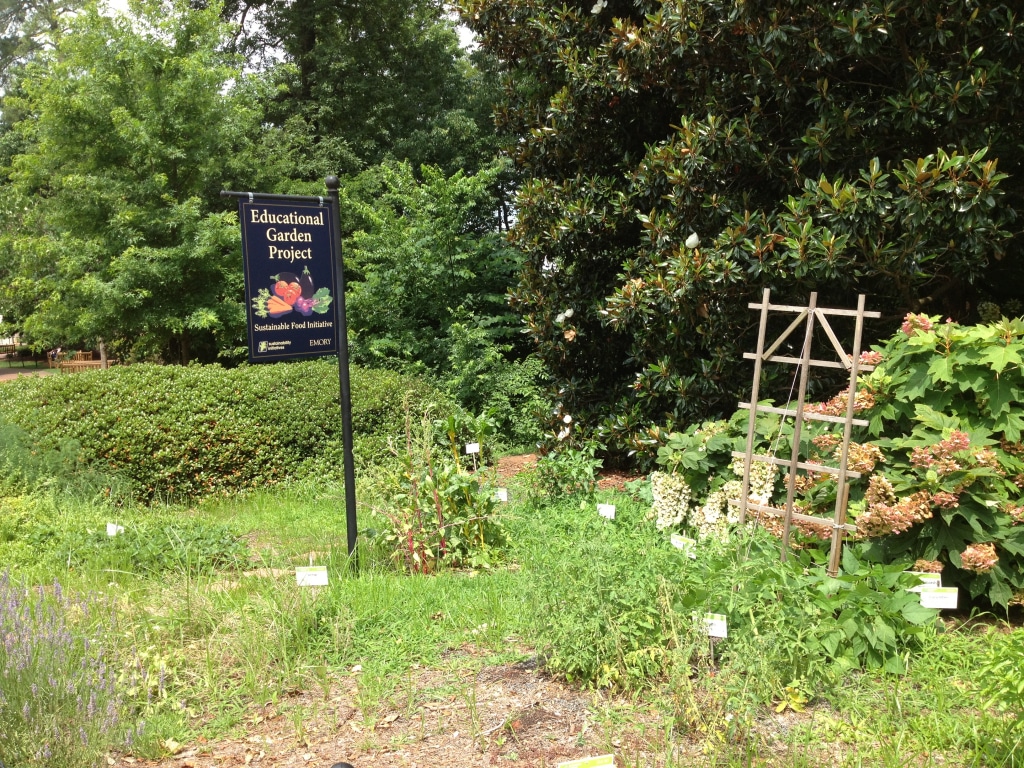 Emory Educational Garden Project – Emory Office of Sustainability ...