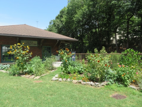 Emory Educational Garden Project – Emory Office of Sustainability ...