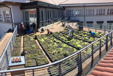 Biodiversity & Landscape – Emory Office of Sustainability Initiatives