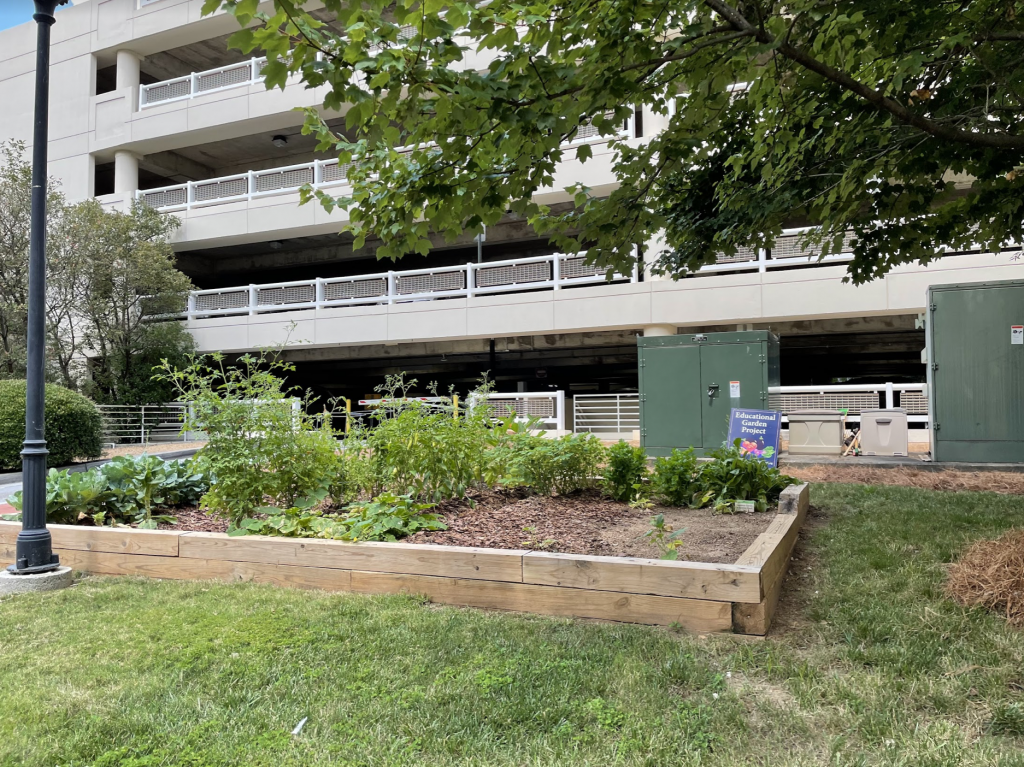 Emory Educational Garden Project – Emory Office of Sustainability ...