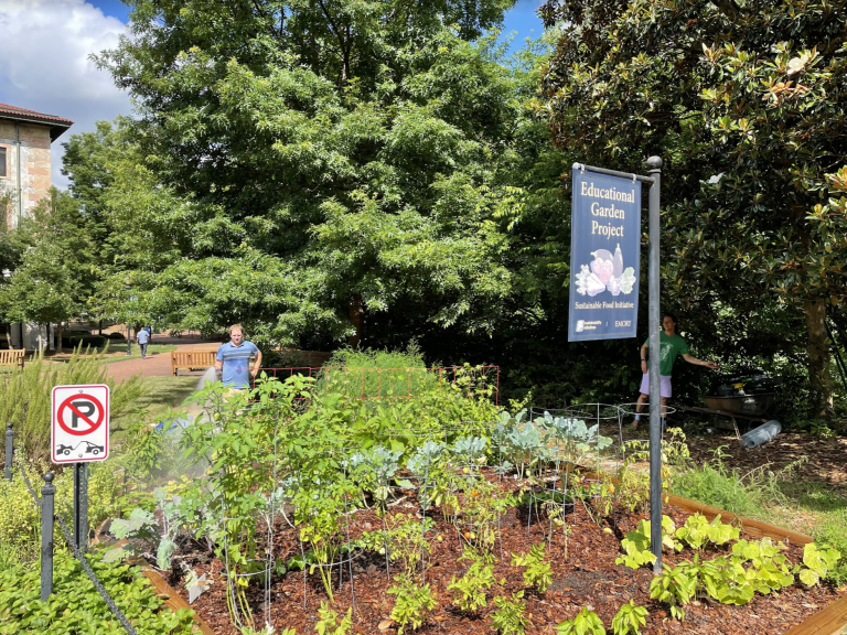 Emory Educational Garden Project – Emory Office of Sustainability ...