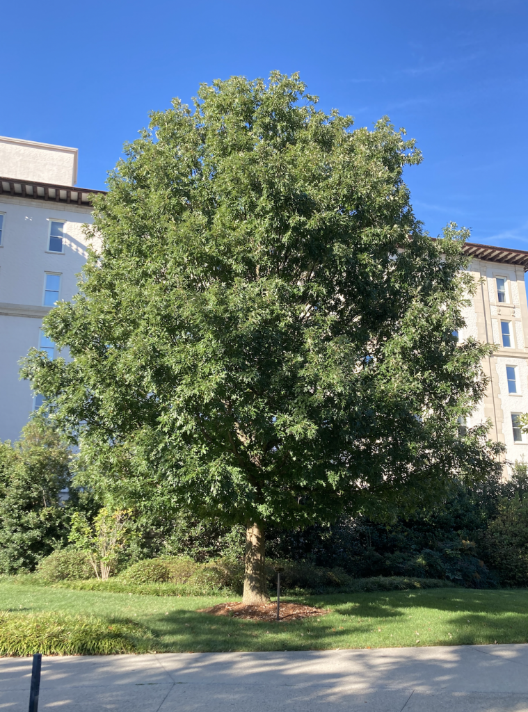 Interactive Map – Emory Office of Sustainability Initiatives