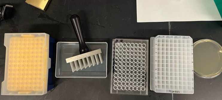 Incentives Fund Awards – Emory Office of Sustainability Initiatives